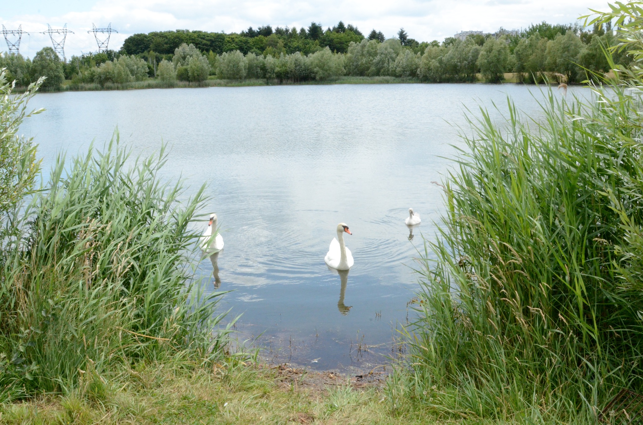 Parcs et aires de jeux – Ville de Persan